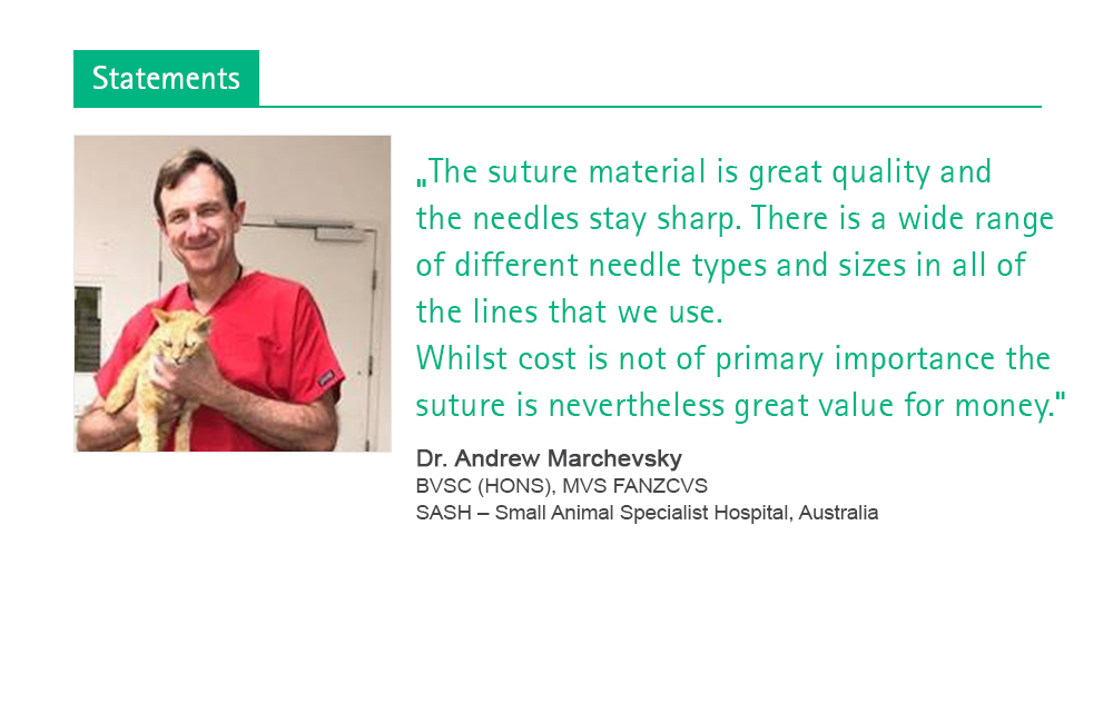 Surgical Sutures Veterinary Medicine